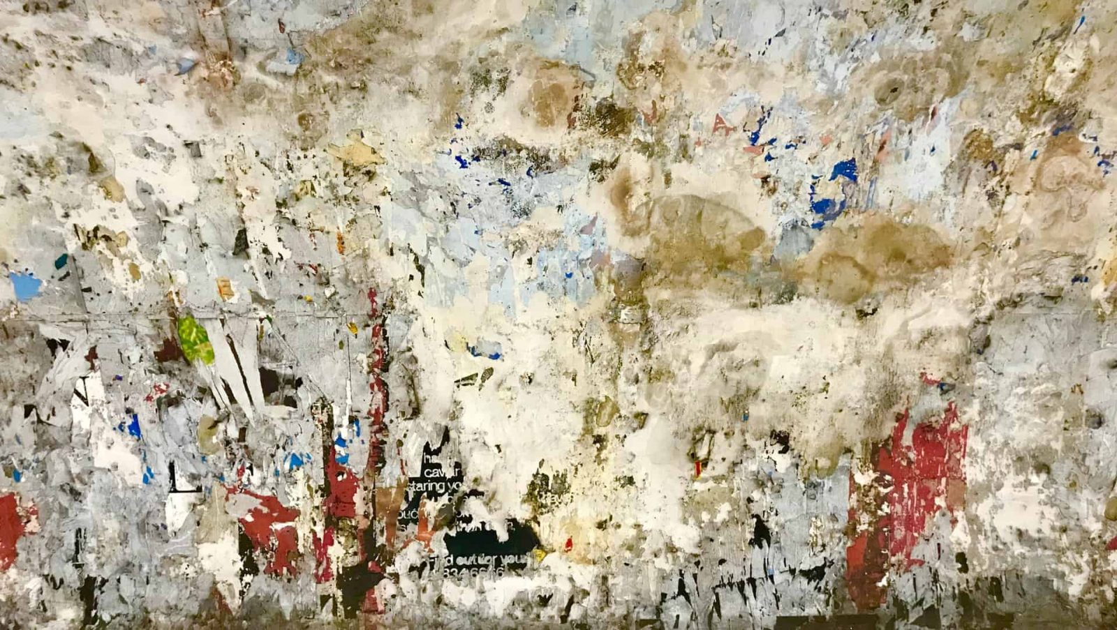 Mold Color: Species, Toxicity, and More - Birthing For Life